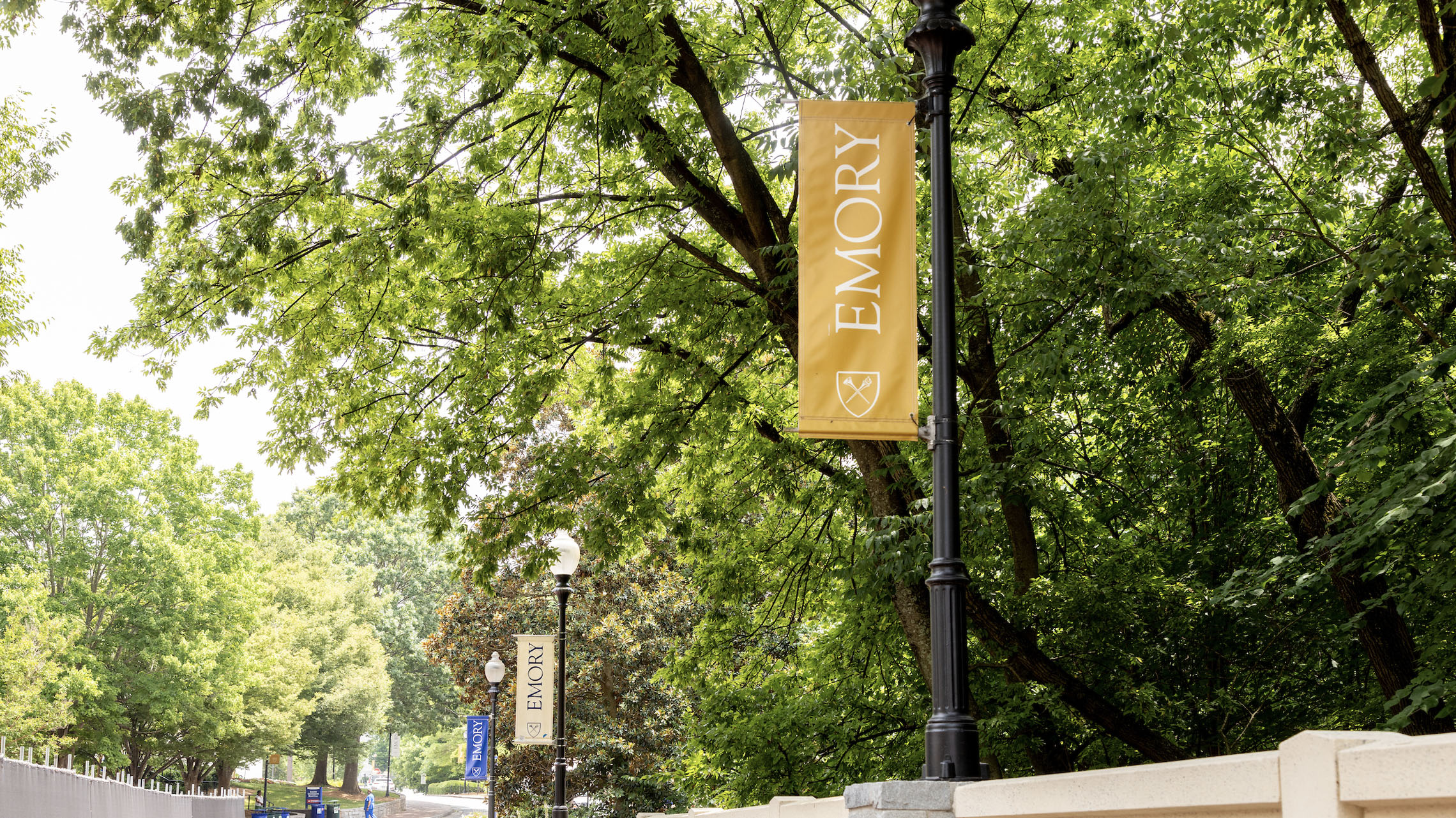 Environmental Branding Guidelines | Emory University | Atlanta GA